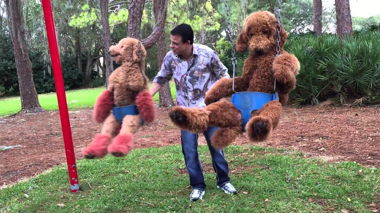 @SuperDogMax - YouTube