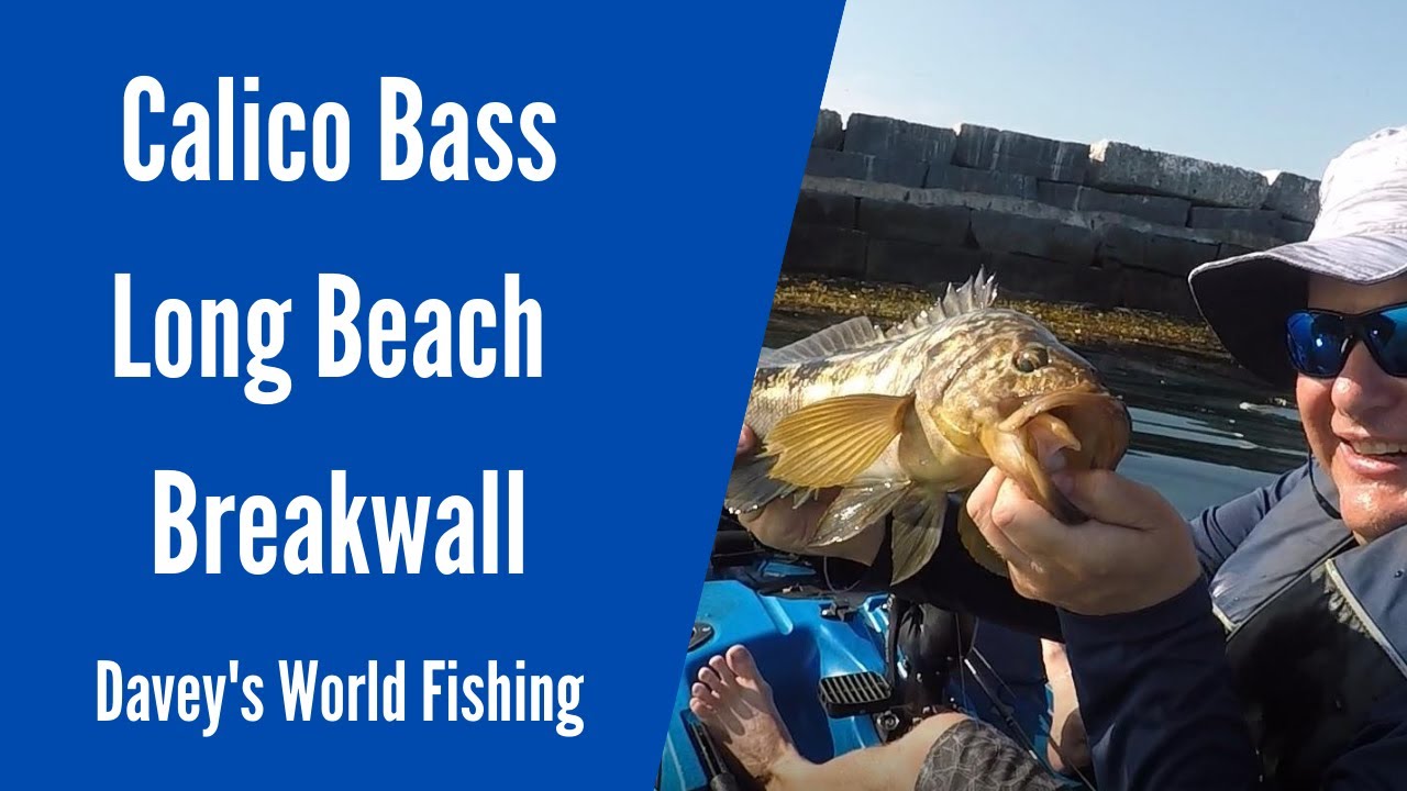 Calico Bass Fishing The Long Beach Breakwall - Kayak Fishing - YouTube