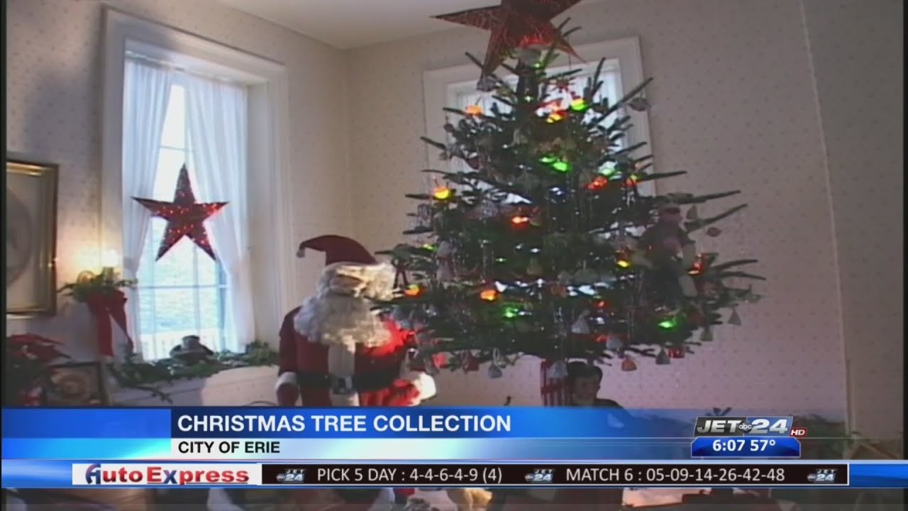 City of Erie collecting live Christmas trees during regular garbage ...