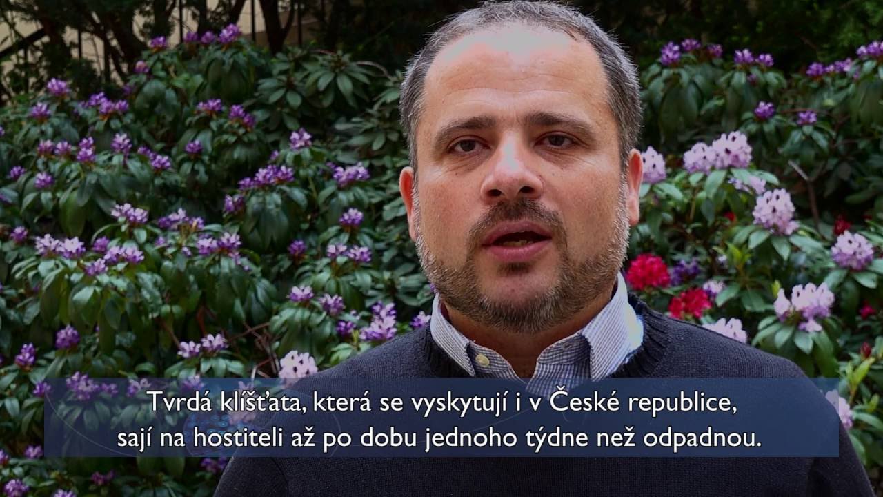 Cena předsedy GAČR 2016 Michail KOTSYFAKIS - YouTube