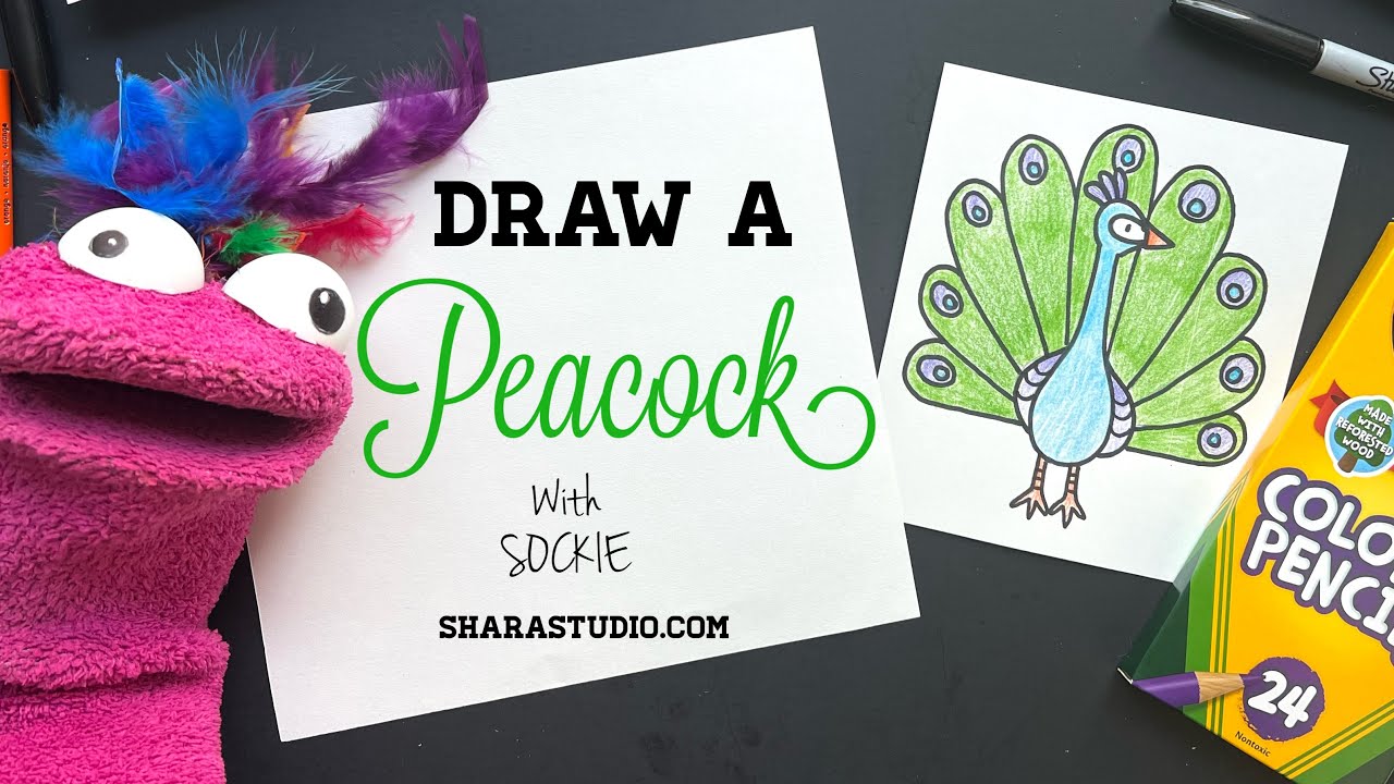 How to draw a peacock - YouTube