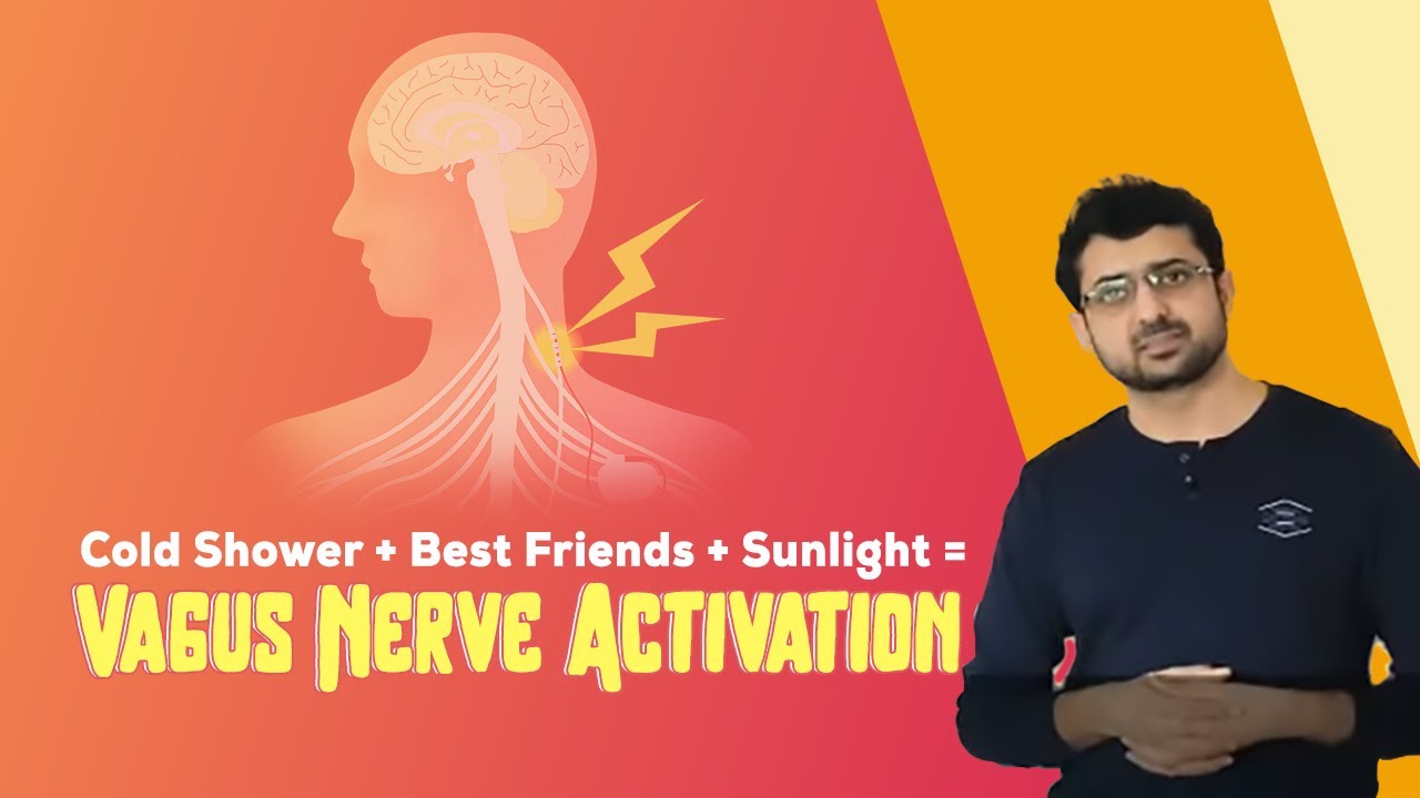 Highlights on Vagus Nerve Activation | History's Pneumogastric Nerve ...