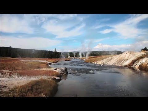 Kurtlar ve Nehirler   Türkçe