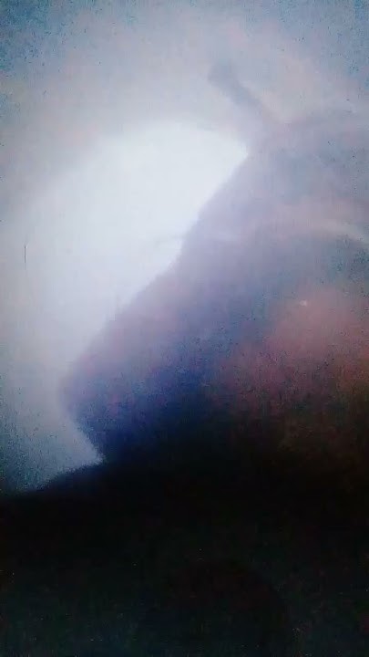 18 Juni 2023 adk kk dong😗😗 - YouTube