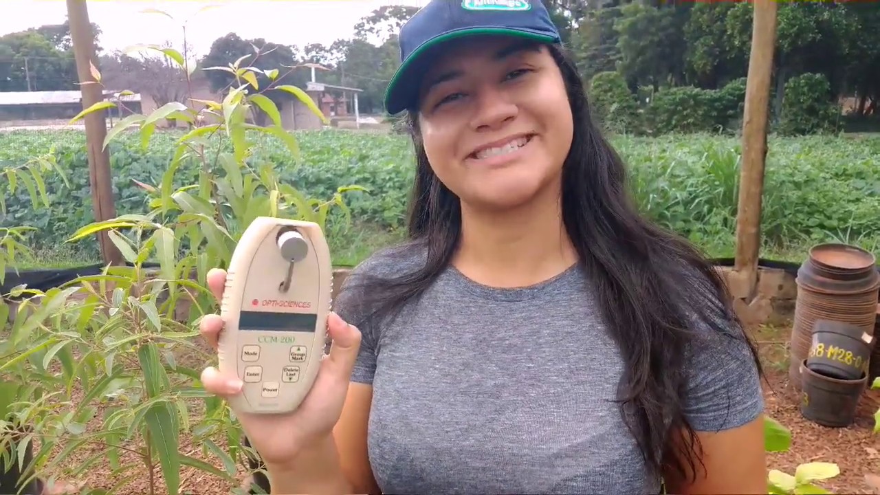 FUNCIONAMENTO DO CLOROFILÔMETRO OPTI SCIENCES CCM 200 - YouTube
