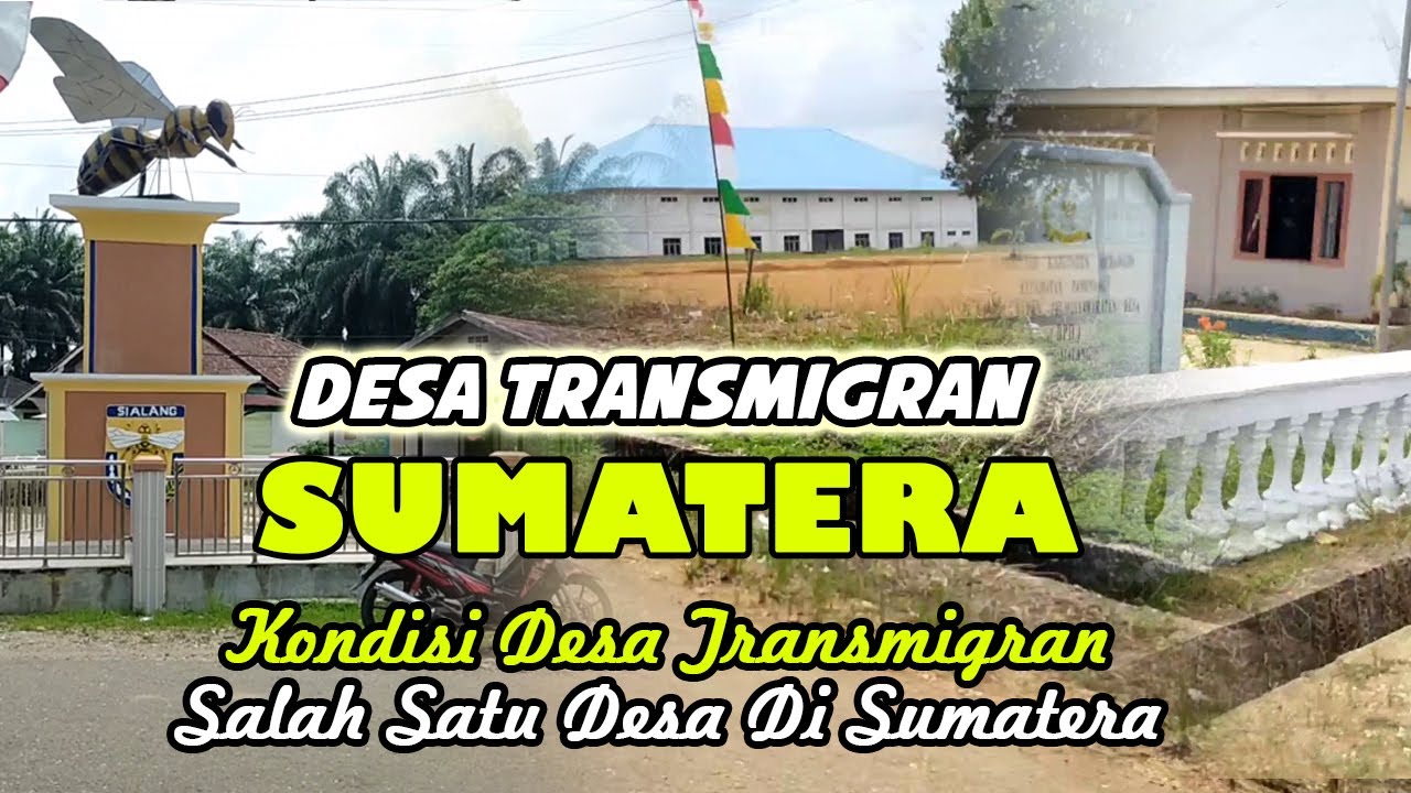 Desa Sialang A4 Desa Transmigran Sumatera Era 80an - YouTube