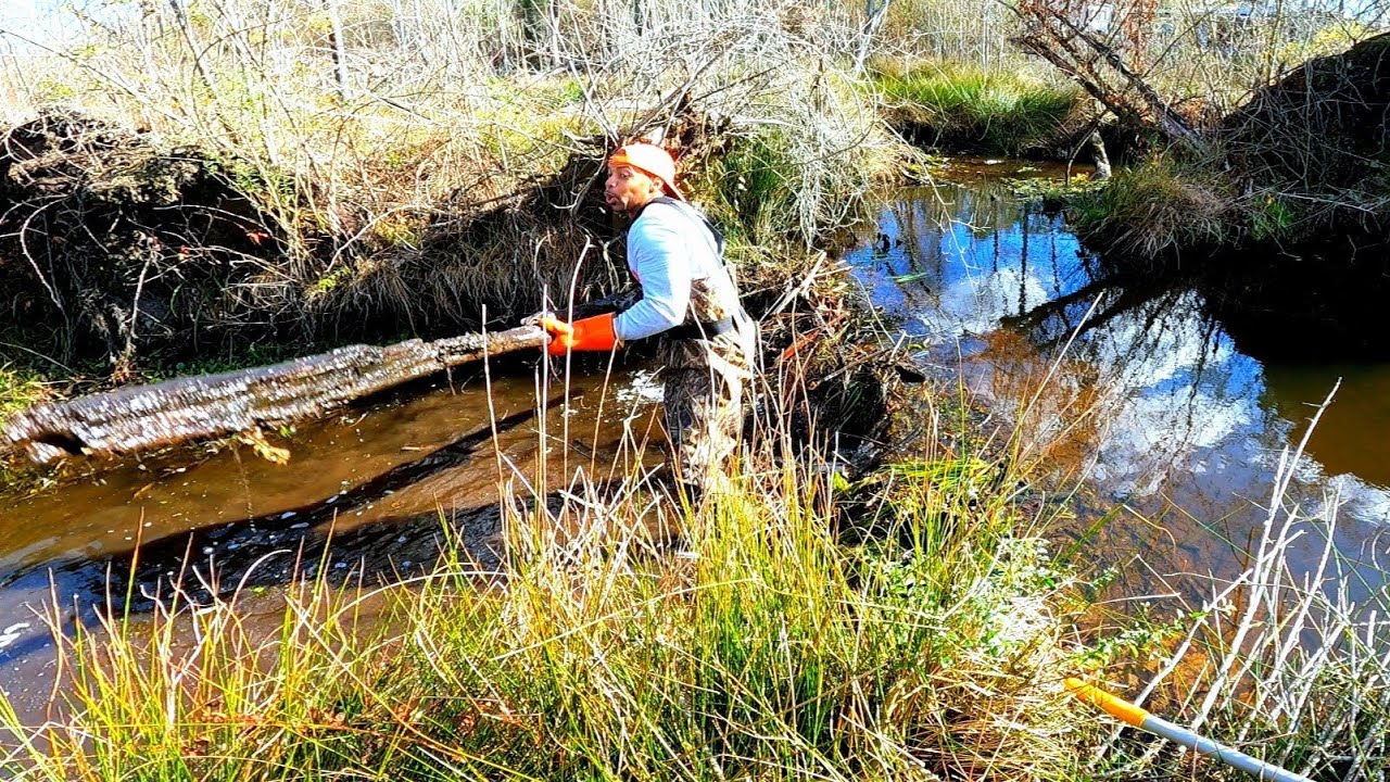 Beaver Dam Quest Begins! || BEAVER DAM REMOVAL IN GATOR CREEK! S4 EP.13 ...