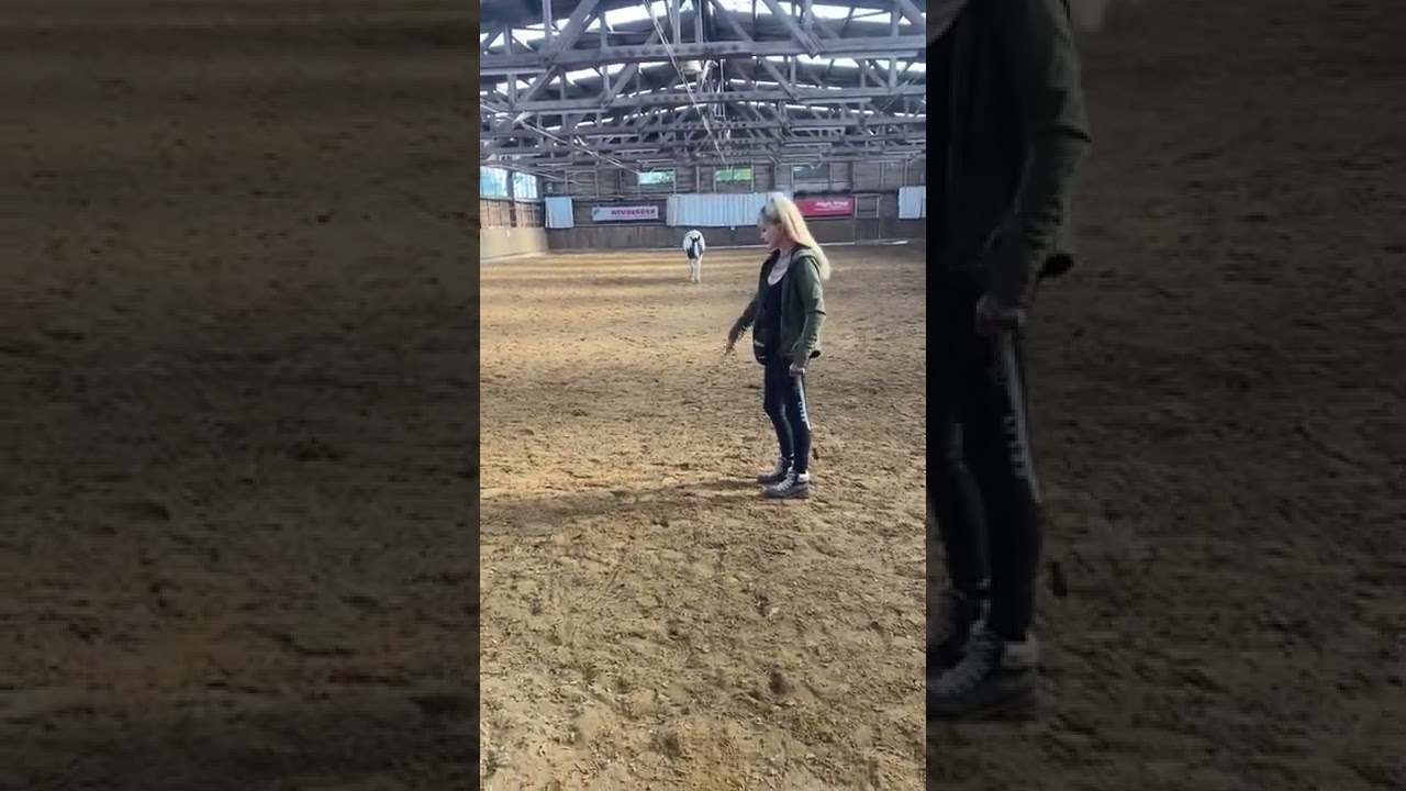 Das Pferd und die Peitsche,the horse and the whip - YouTube