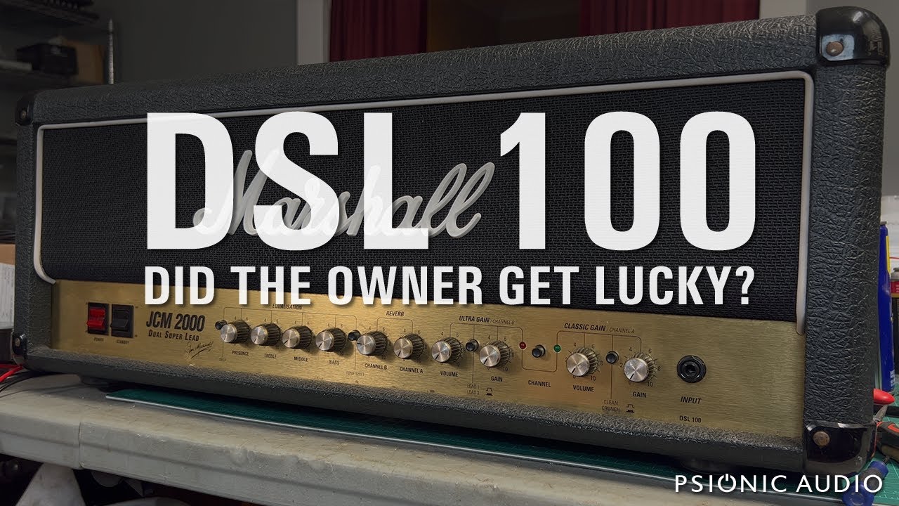 DSL 100 | Did the Owner Get Lucky? - YouTube
