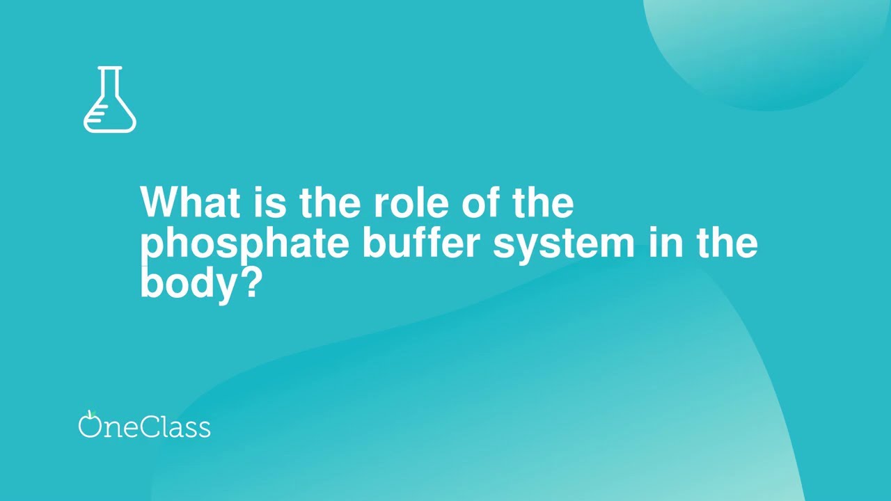 What Is The Role Of The Phosphate Buffer System In The Body YouTube What Is The Role Of The Phosphate Buffer System In The Body YouTube