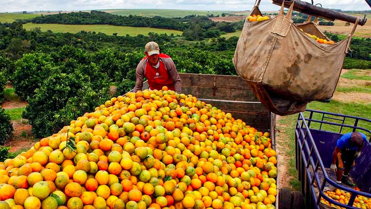 How Americans Produce and Harvest Approximately 2.5 Million Tons Of ...