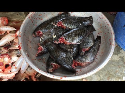 Kholisha Fish Cutting Skill || Bangladeshi Fish Market Saling And ...