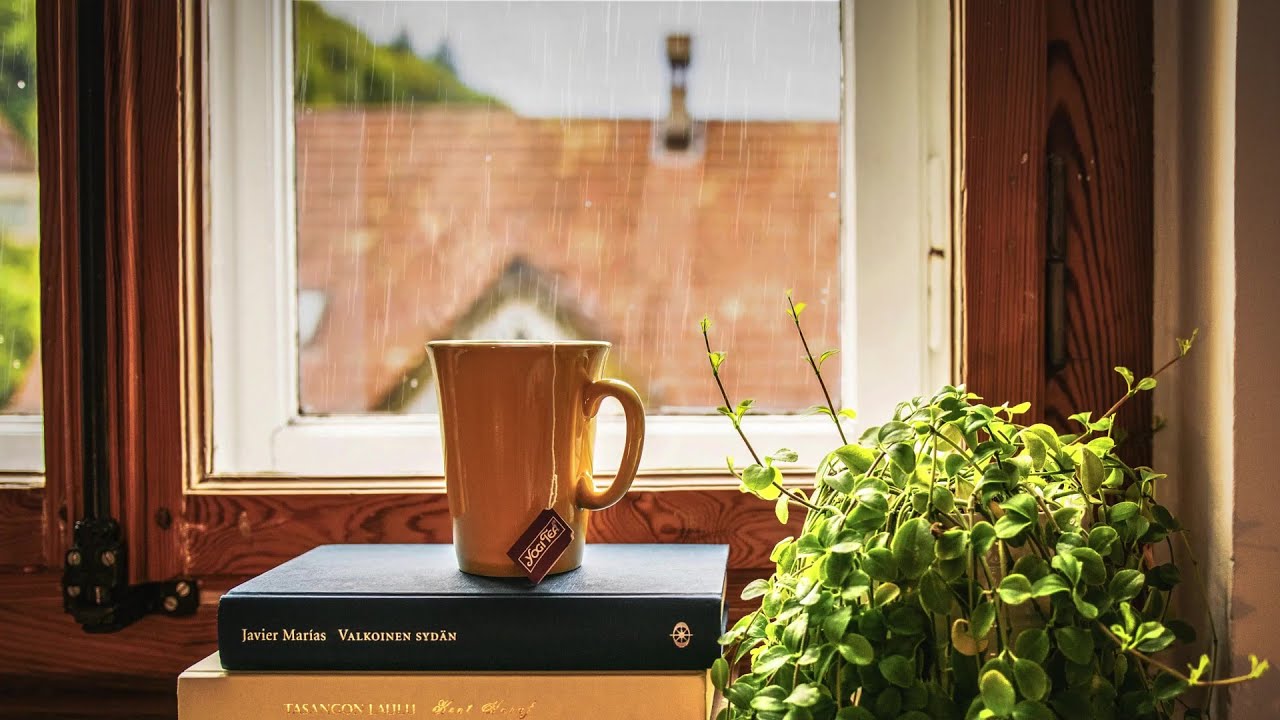 Soothing Rain & Melodies A Cozy Window View with a Cup of Calm - YouTube