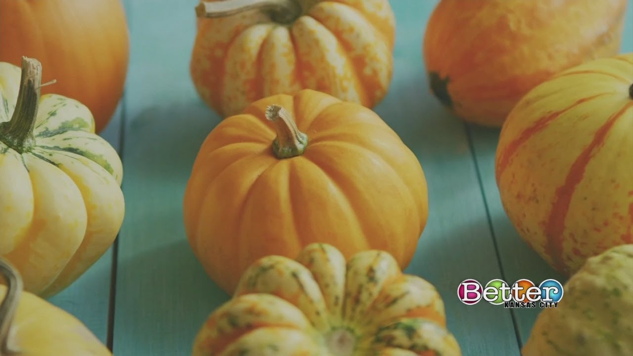 Healthy Foods With Long Shelf Lives YouTube healthy-foods-with-long-shelf-lives-youtube