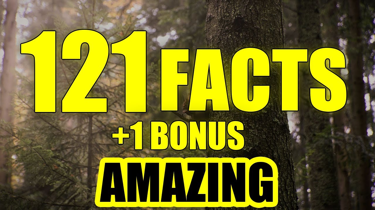 121 Interesting Facts | Random Facts You Never Knew- (+1 Bonus Facts ...
