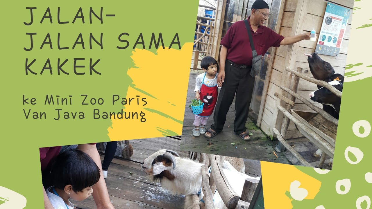 Khansa main di Mini Zoo PVJ Bandung bersama kakek - YouTube