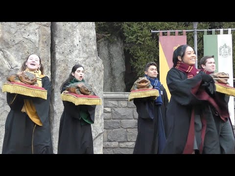 2025 1 31 USJ フロッグクワイア【4K】 - YouTube