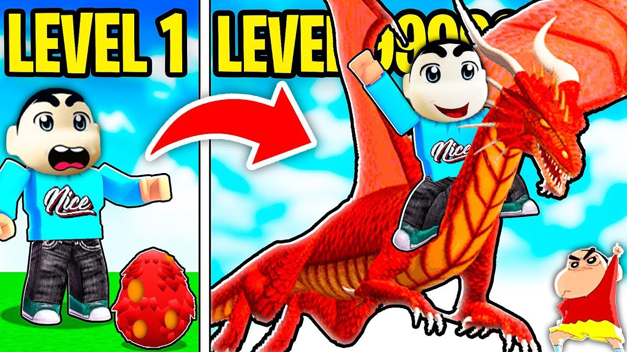 SHINCHAN taming BIGGEST DRAGONS in DRAGON TAMER ROBLOX with CHOP - YouTube