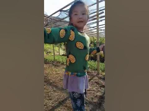 Mouakong thiab Bella mus ua teb ntoo yas - YouTube