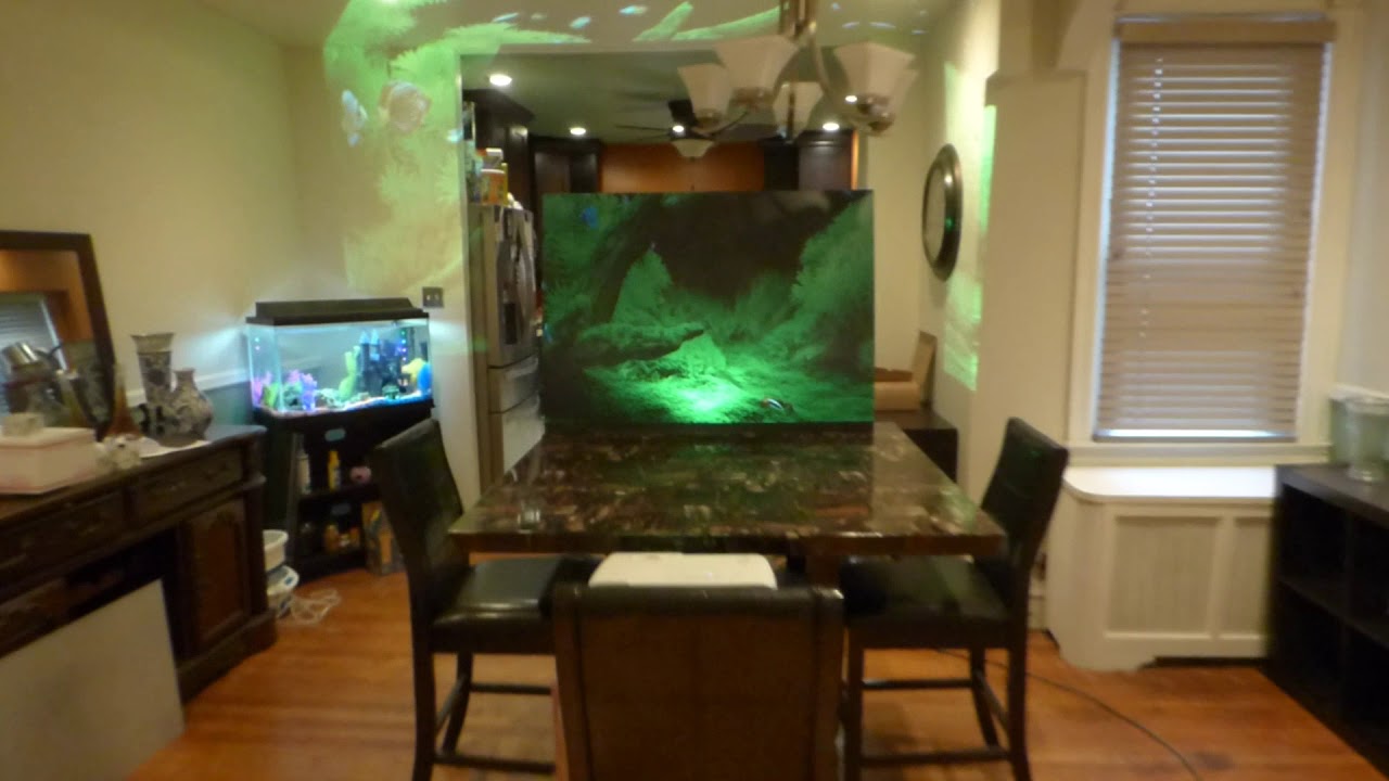 OUR NEW FRONT AND REAR PROJECTION SCREEN PAINT LAUNCH DATE 04/11/18 ...