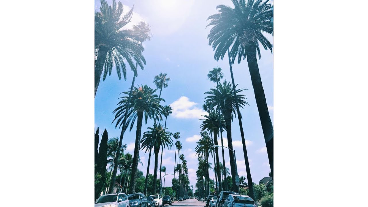 [FREE] Vintage Sample Pack - "Palm Trees" (+100 Samples) - YouTube