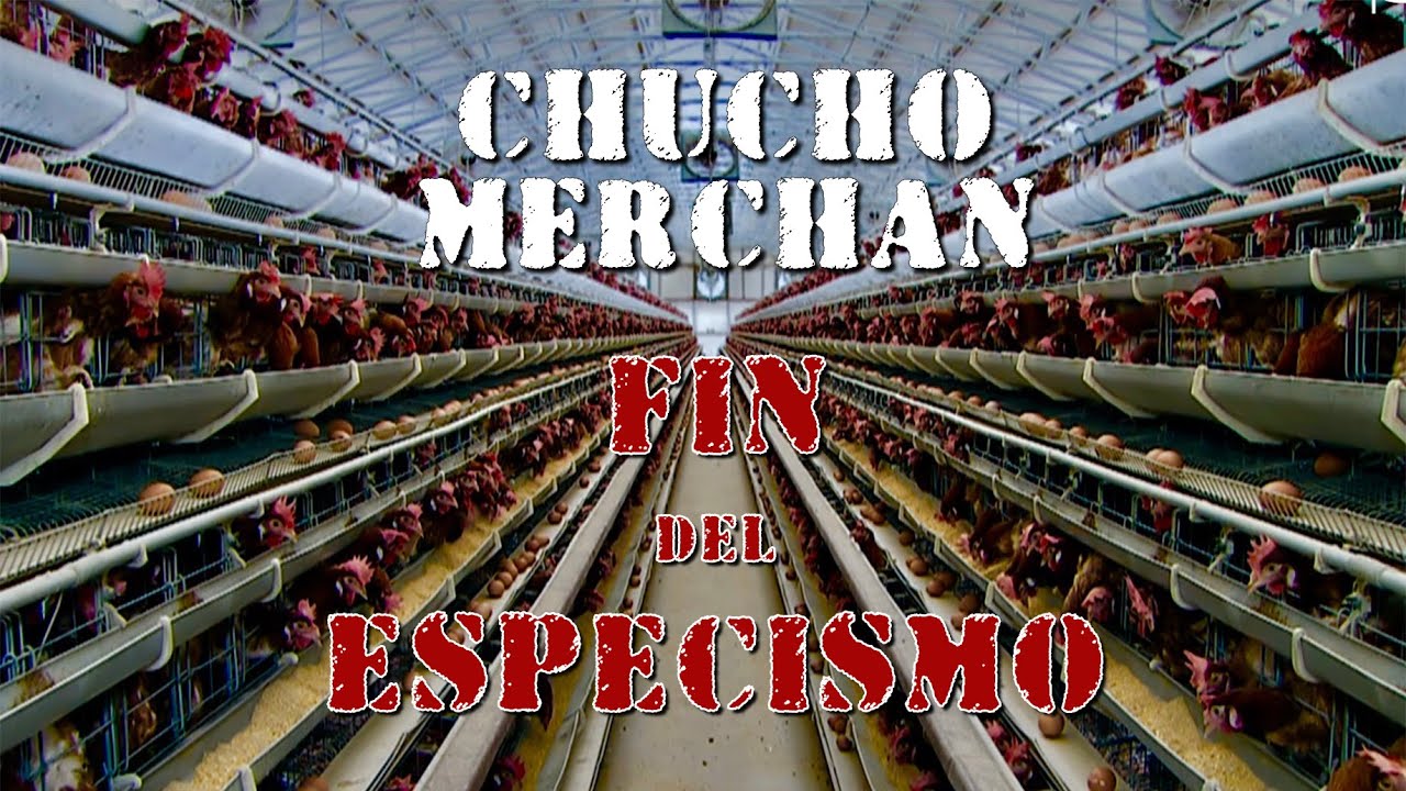 CHUCHO MERCHAN - FIN DEL ESPECISMO - YouTube