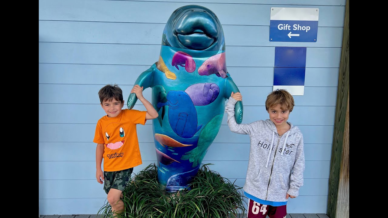Everywhere Buddies - Manatees, Stingrays & Alligators! - YouTube