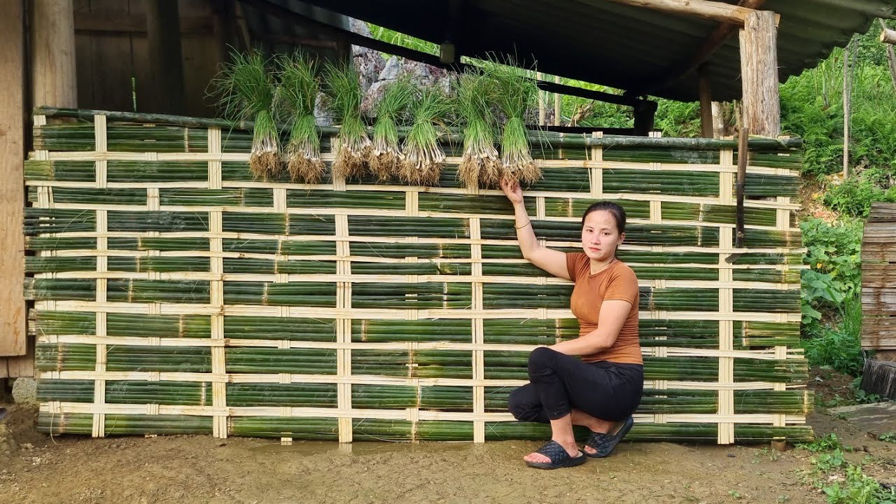 renovate bamboo kitchen, harvest palanquin garden | Triệu Thị Mụi - YouTube