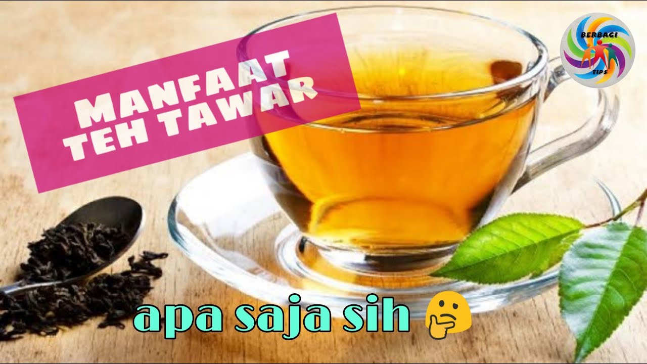 MANFAAT TEH TAWAR YANG LUAR BIASA | Berbagi Tips - YouTube