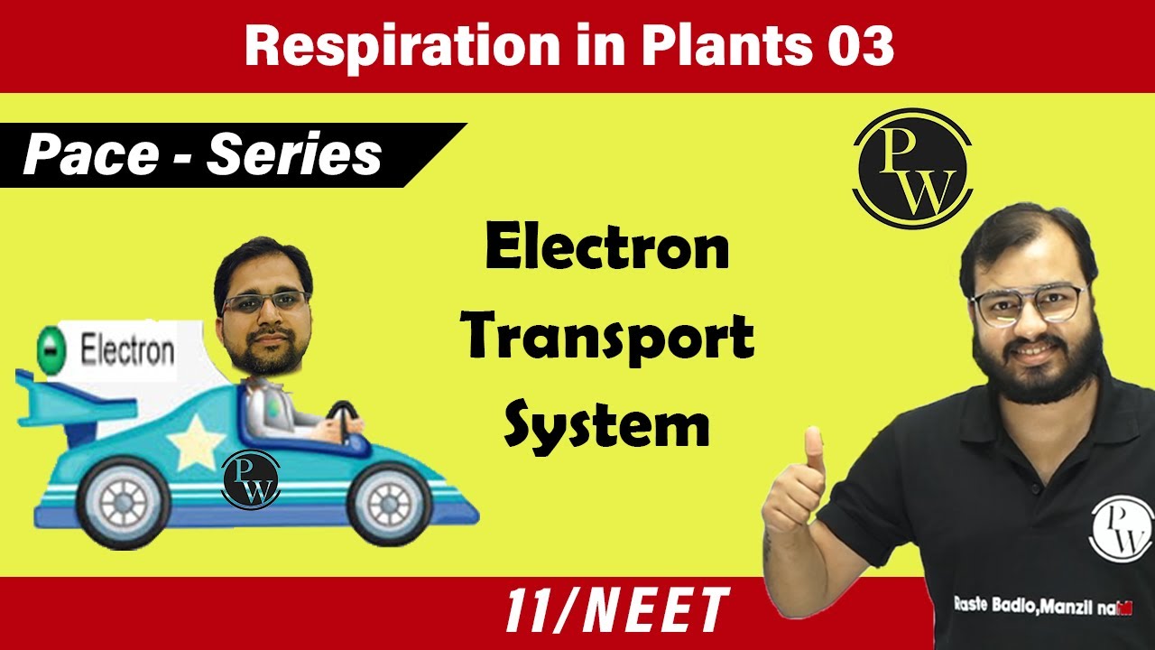 Respiration in Plants 03 | Electron Transport System | Class 11 | NEET ...