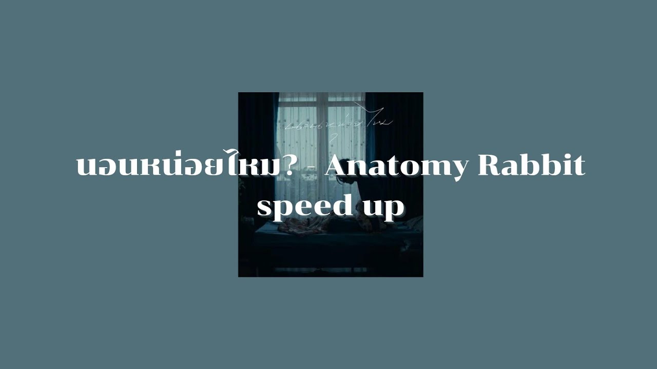 นอนหน่อยไหม? (Night Night) - Anatomy Rabbit | [speed up] - YouTube