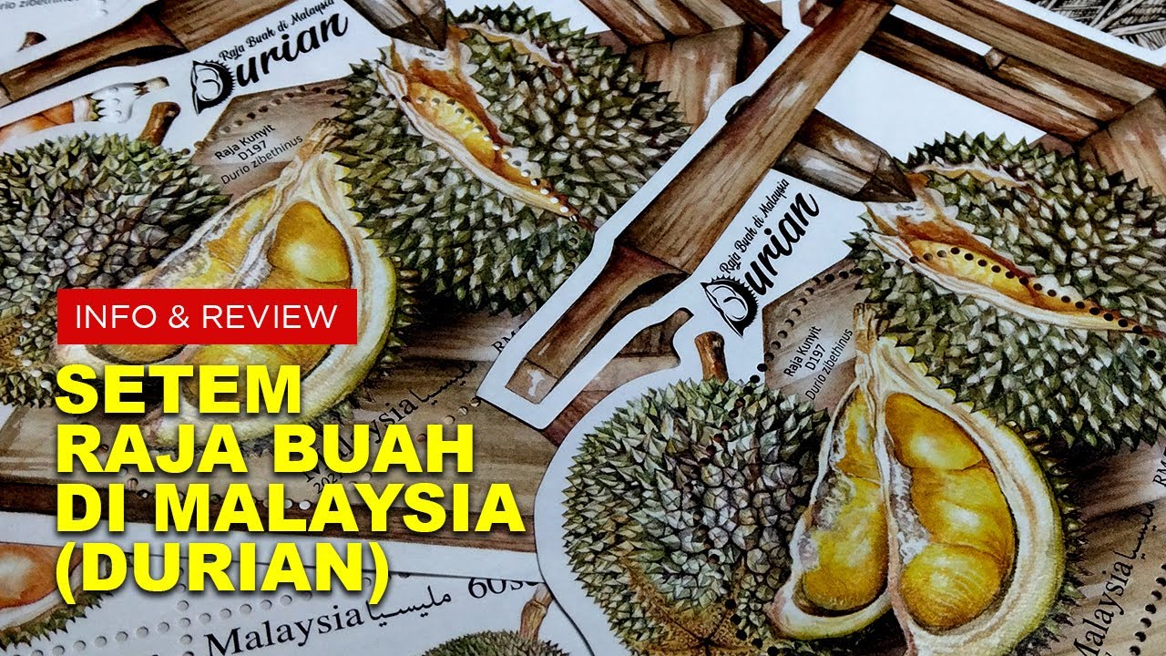 Setem Raja Buah Di Malaysia (Durian) - YouTube