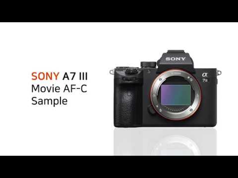 A7 III (A7M3) + FE 70-200G 동영상 AF-C 테스트 - YouTube