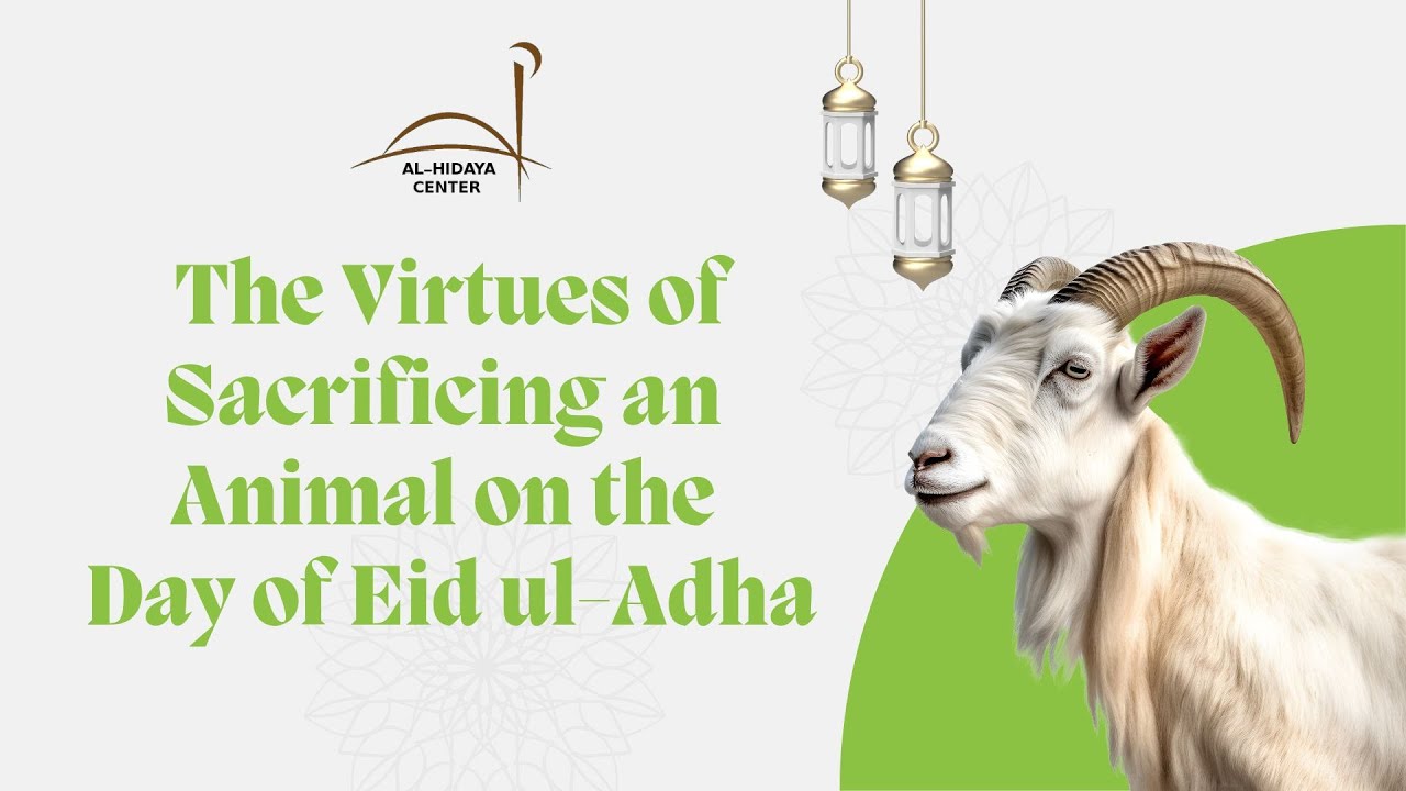 The Virtues of Sacrificing an Animal on the Day of Eid ul-Adha - YouTube