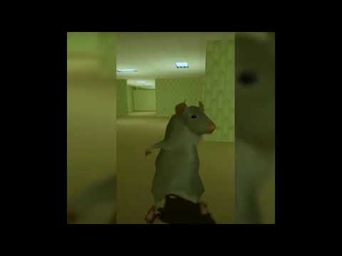 rat dance for 1 hour - YouTube