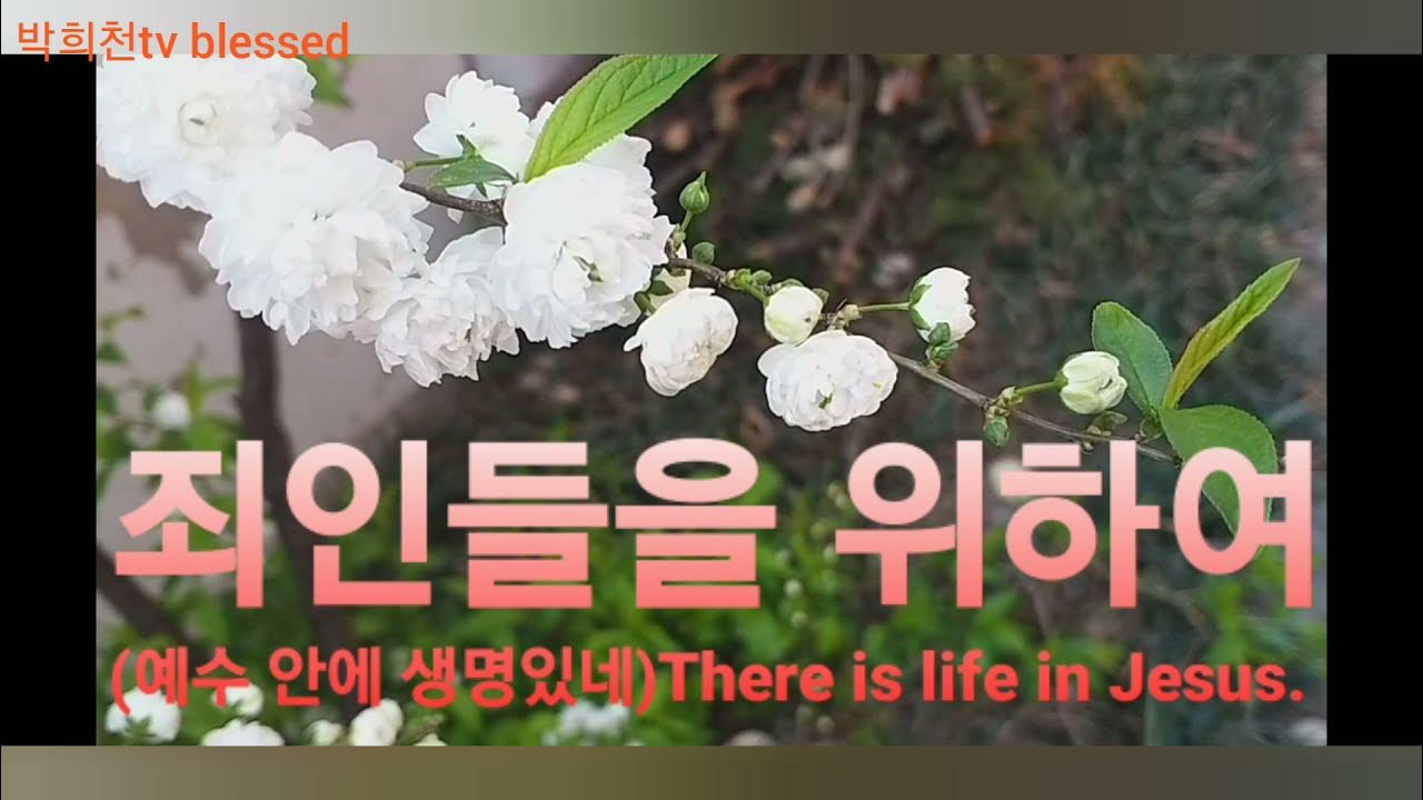죄인들을 위하여 예수 안에 생명있네 There Is Life In Jesus Youtube