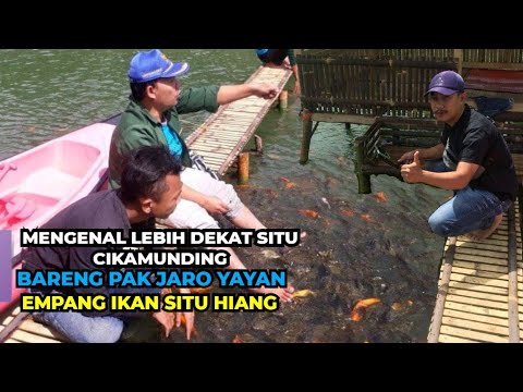 beribu ikan di situ hiang ci kamunding || bersama pak jaro yayan ...