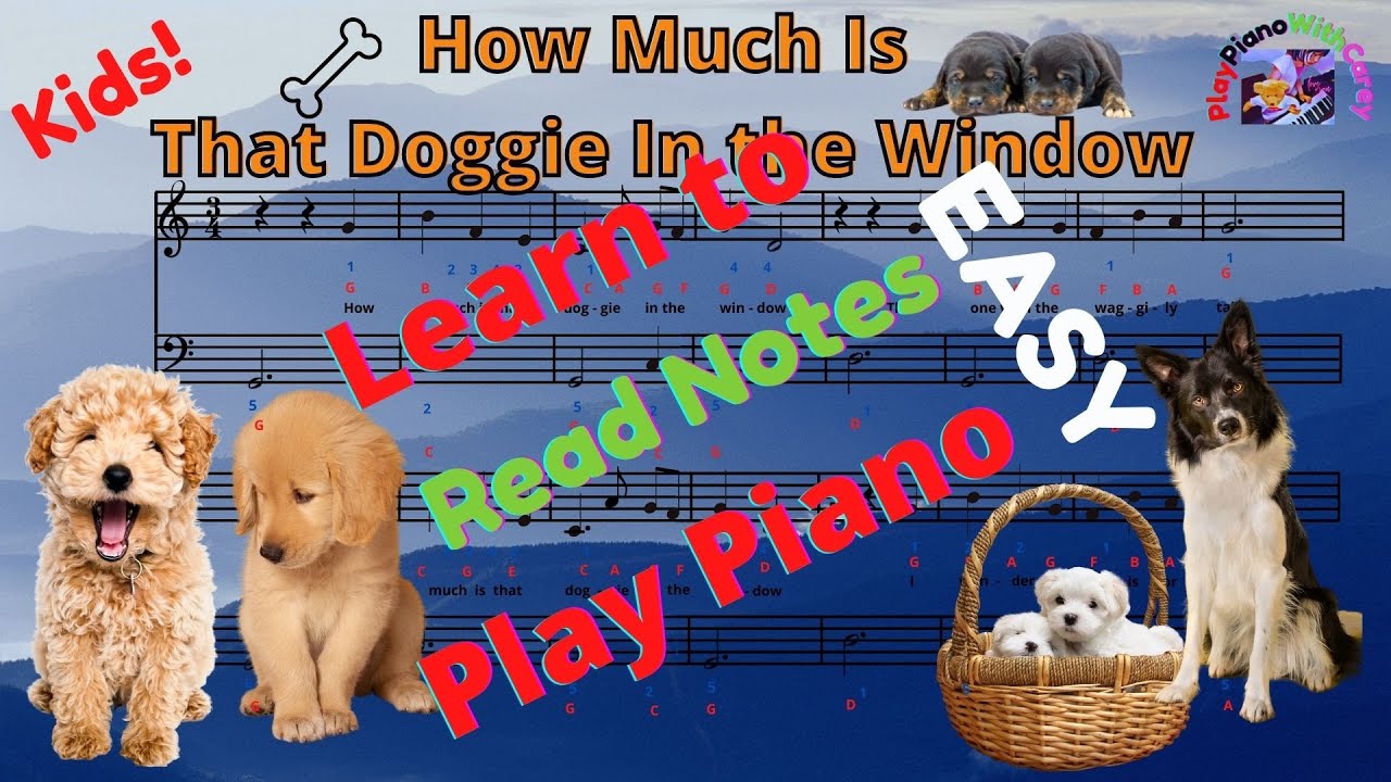 4. Learn Piano With Carey: Read and Play How Much Is That Doggie in the ...