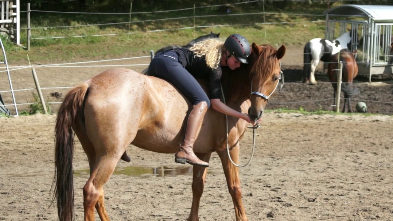 MUSTANG MAKEOVER 2018 Team Jessica (TAG 3935) - Update 6 - YouTube