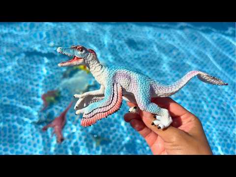 Throwing DINOSAURS IN THE POOL | Dinosaurs for kids|  Learn Dinosaur Names