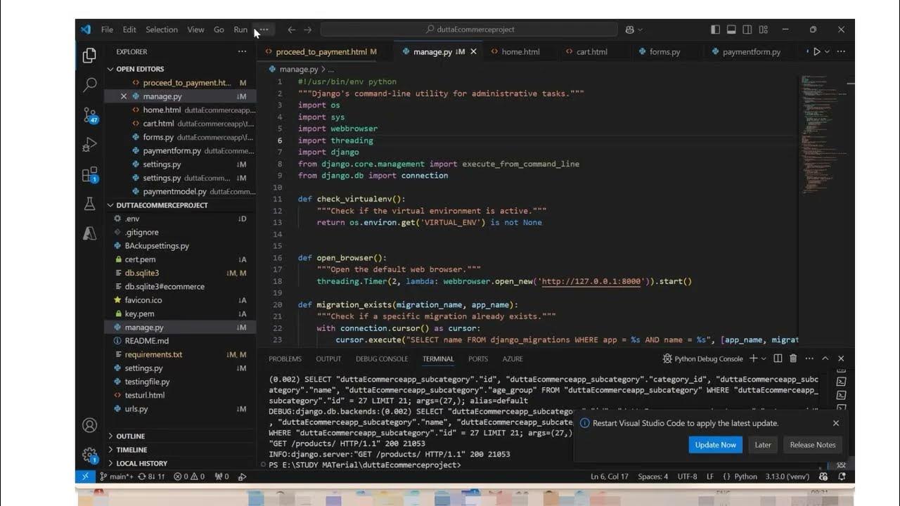 Ecommerce App Part 2: Building a Django WebApp in 15 Days, Real-Time Web App Experience - YouTube