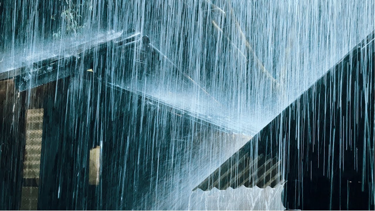 Rain and thunder sounds of beautiful woods, healing soothing ...