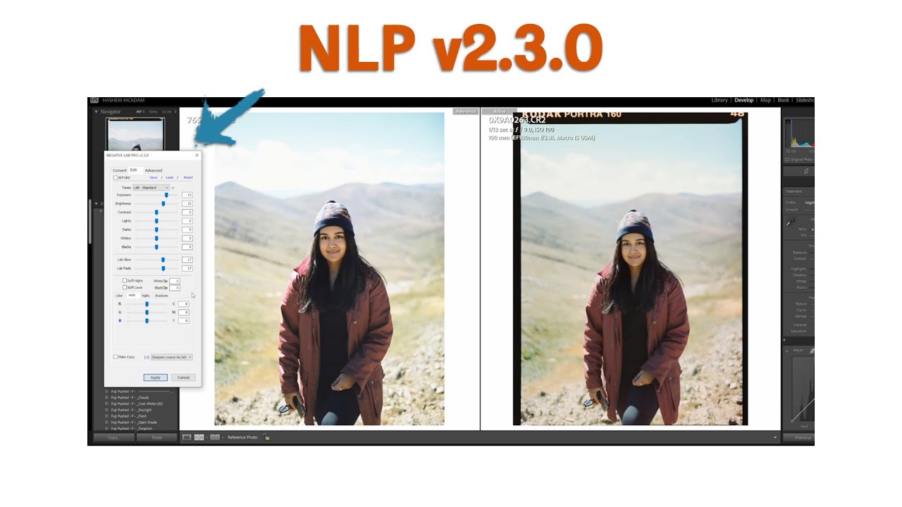Negative Lab Pro 2.3 Tutorial - Matching Lab Scans - YouTube