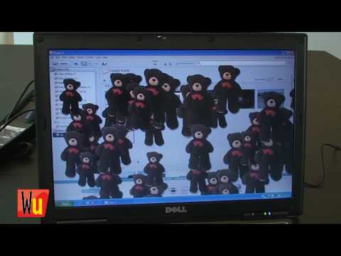 Google Picasa bear
