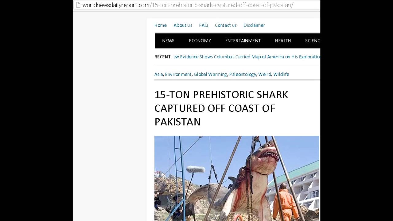 Pre-Historic Shark Found in Pakistan DEBUNKED - YouTube