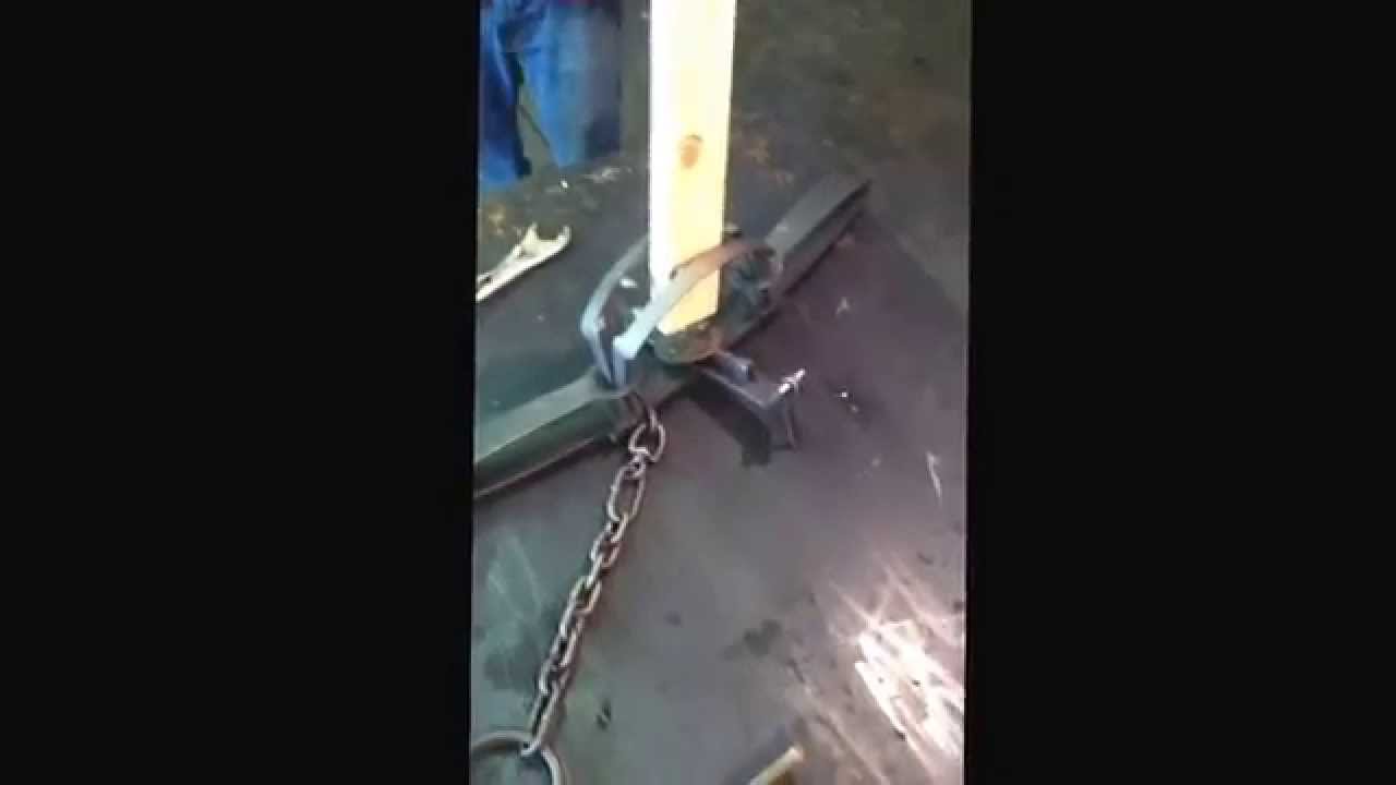 Setting off a bear trap - YouTube