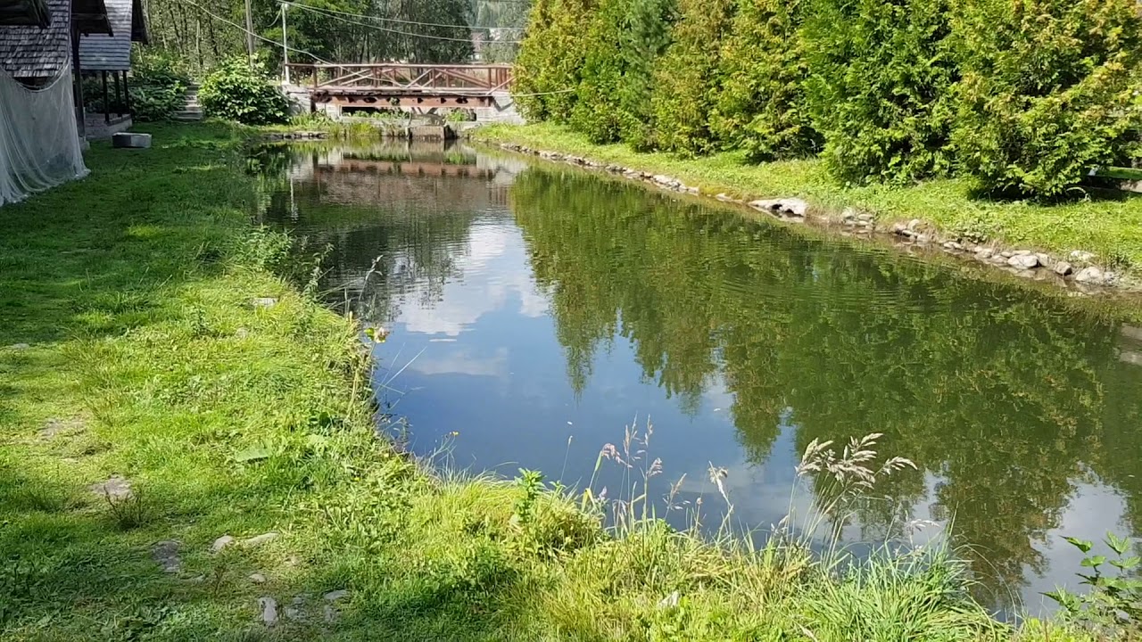 Small countryside ponds - YouTube