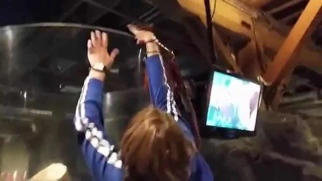 Giant Octopus Tries to Climb Out of Tank at Seattle Aquarium - YouTube