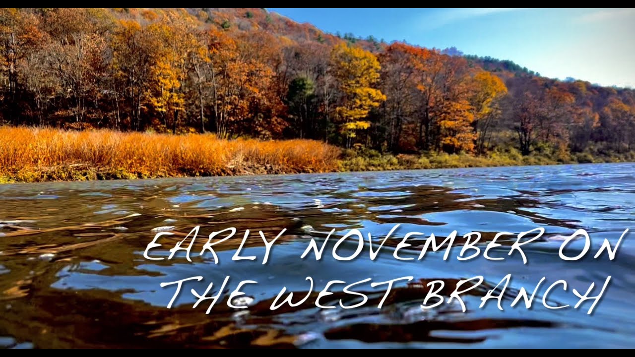 Early November on West Branch Delaware - YouTube