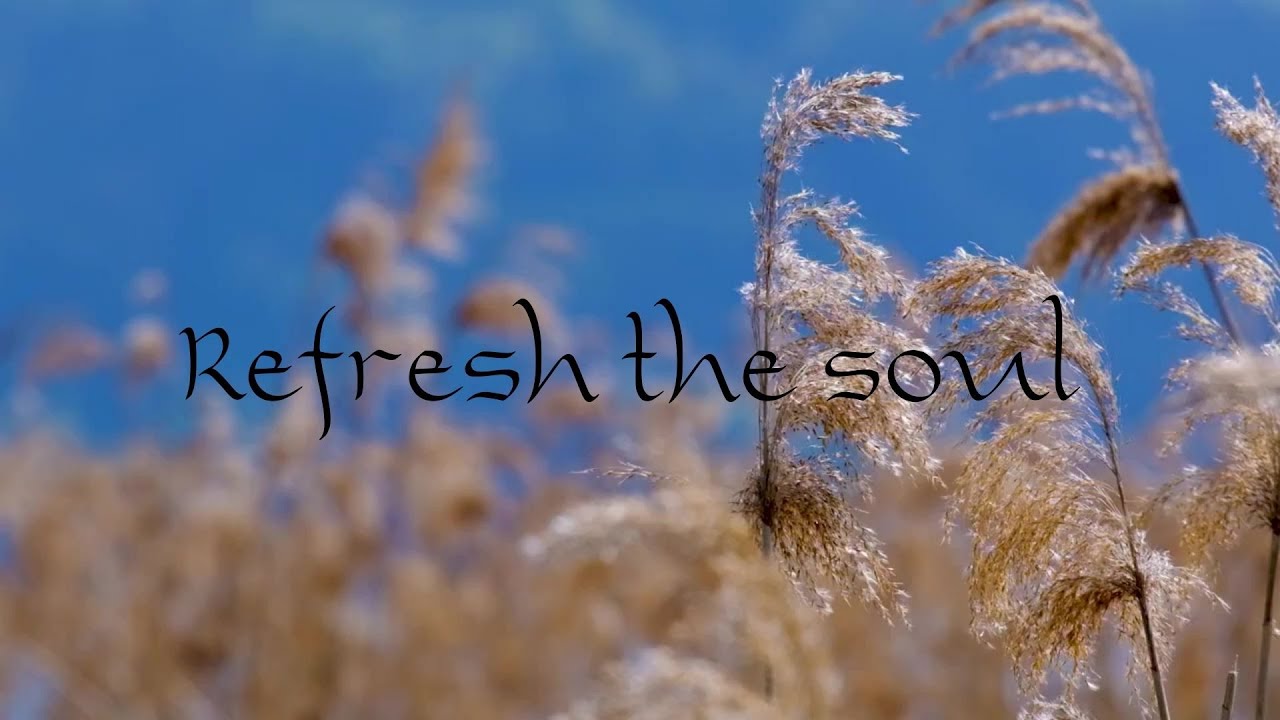 Refresh the soul🌿 Calm the nervous system and refresh the soul ...